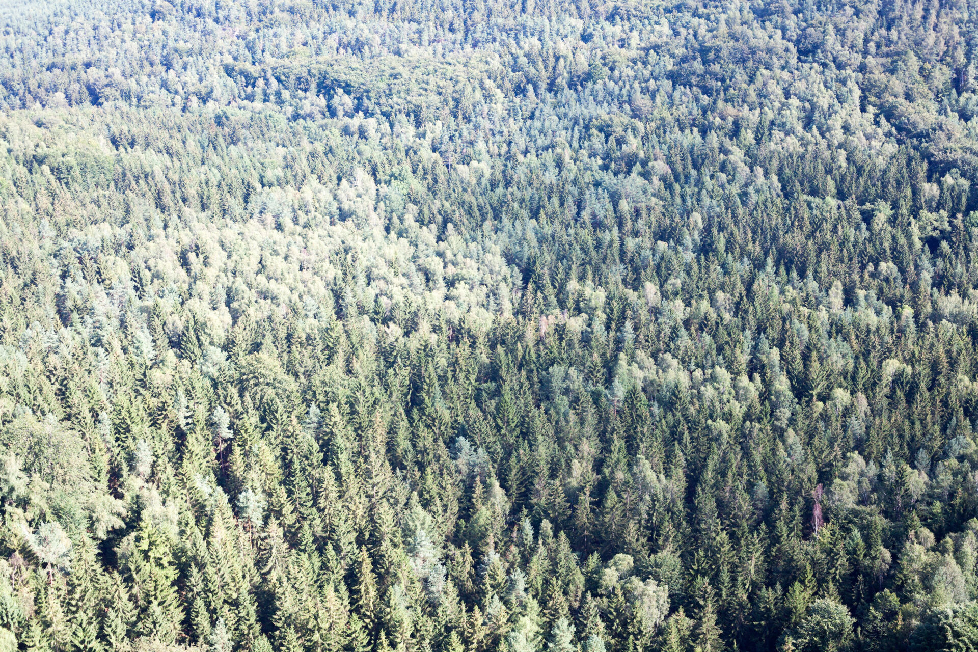 Re:Source Timber — Natural Building Lab