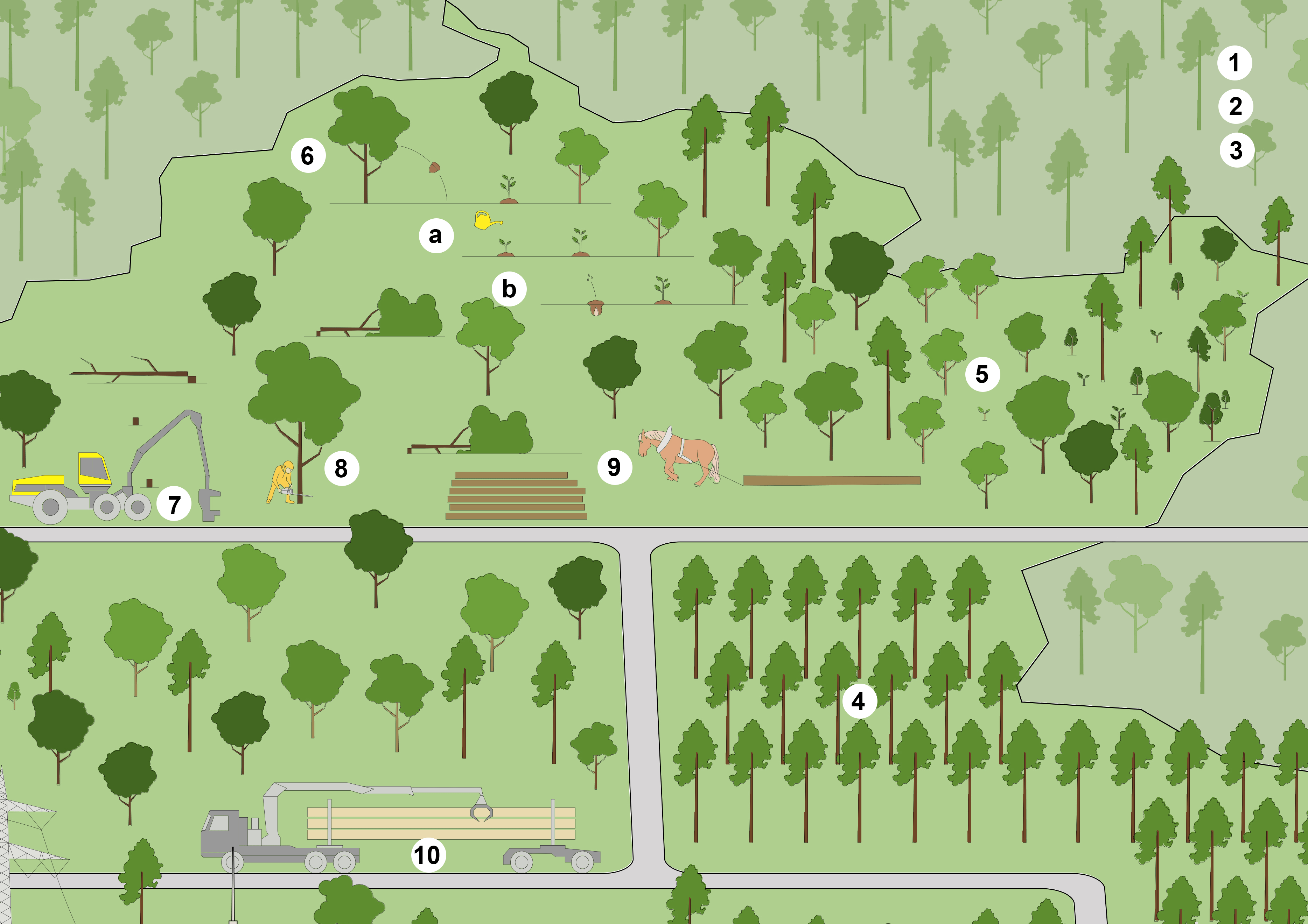 Re:Source Timber — Natural Building Lab