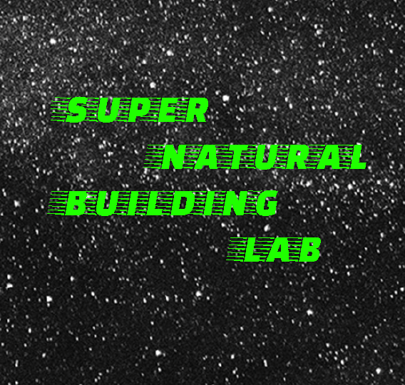 Supernatural Building Lab — Natural Building Lab