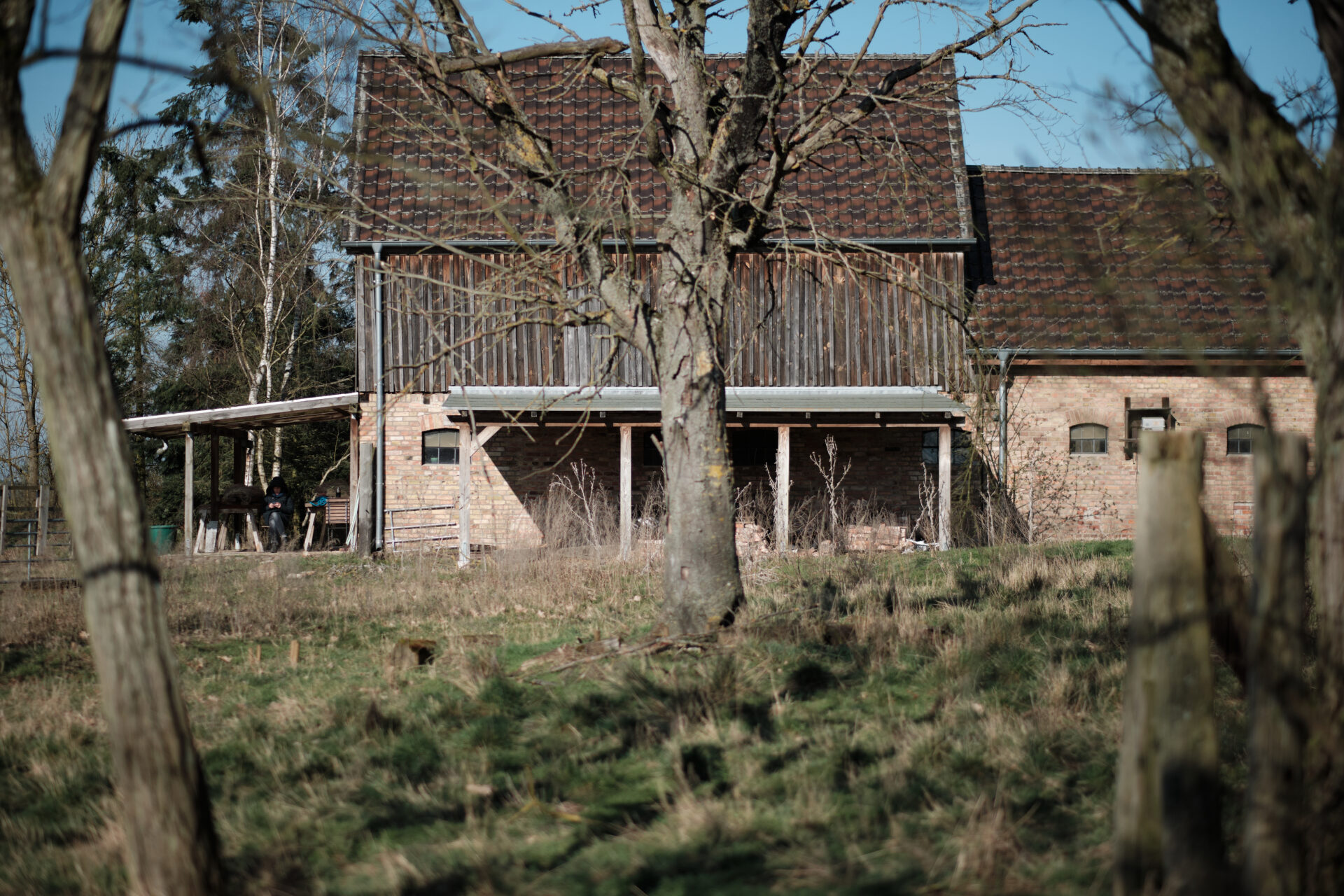 Rewilding – Naturbausysteme im Oder Delta — Natural Building Lab